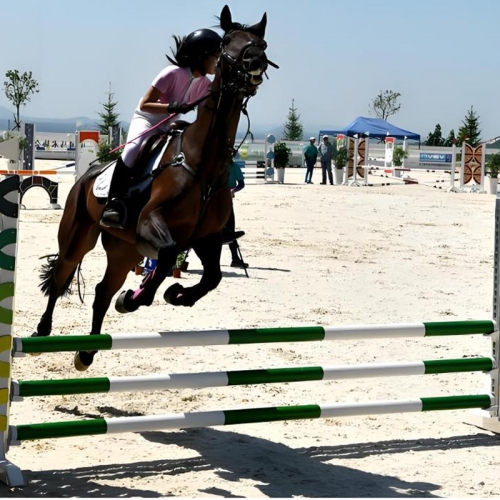 Obstacle Cross Bar Obstáculos para pistas PVC Cavaletti Equestrian ...